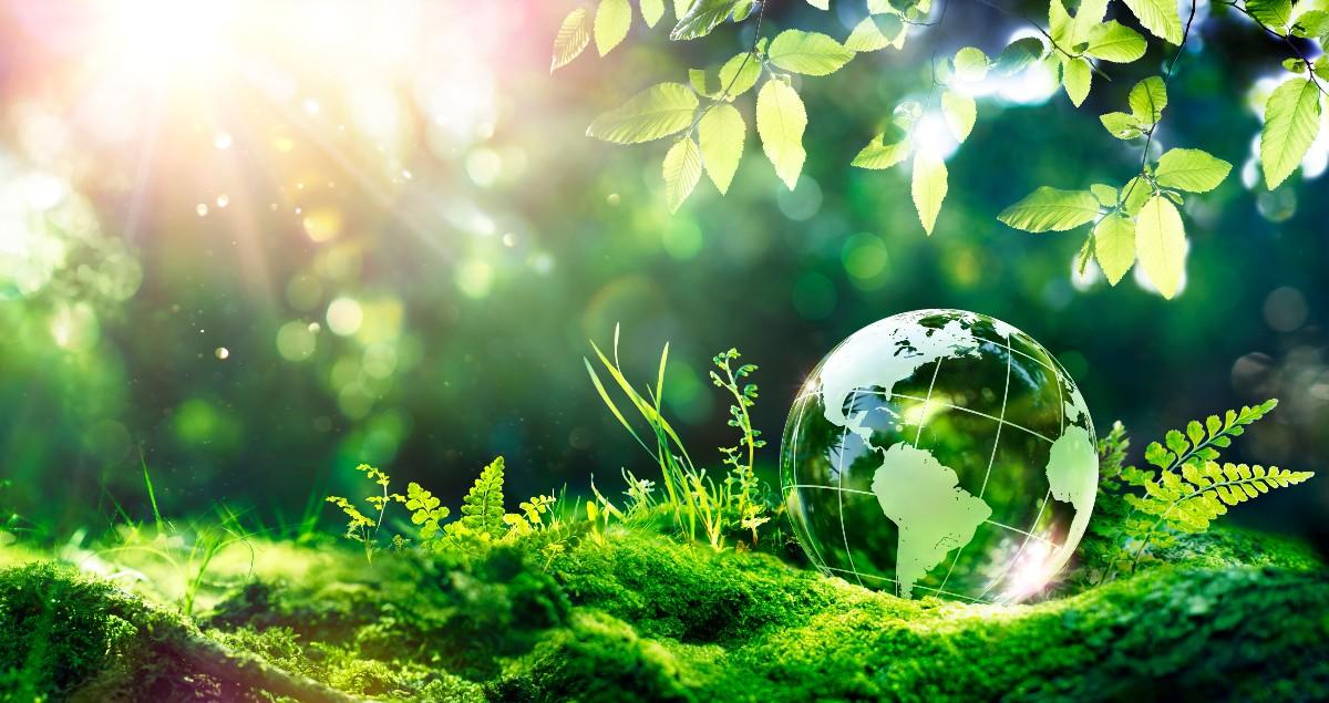 NDC targets by country: How 8 nations plan to cut emissions | Spectra by MHI